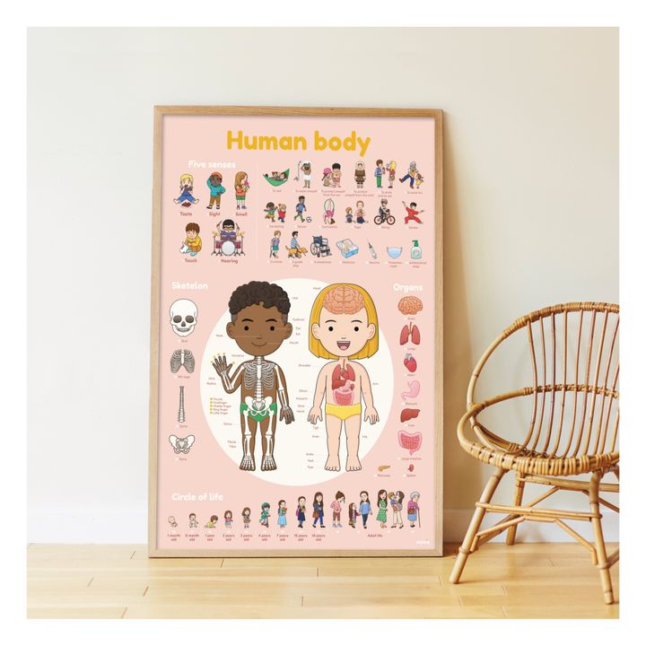 Human Body Sticker Poster Poppik Toys and Hobbies Children