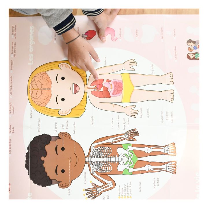 Human Body Sticker Poster Poppik Toys and Hobbies Children