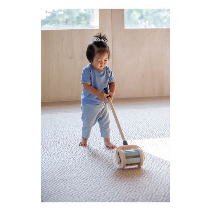 Push-along Roller Toy Plan Toys Toys and Hobbies Children