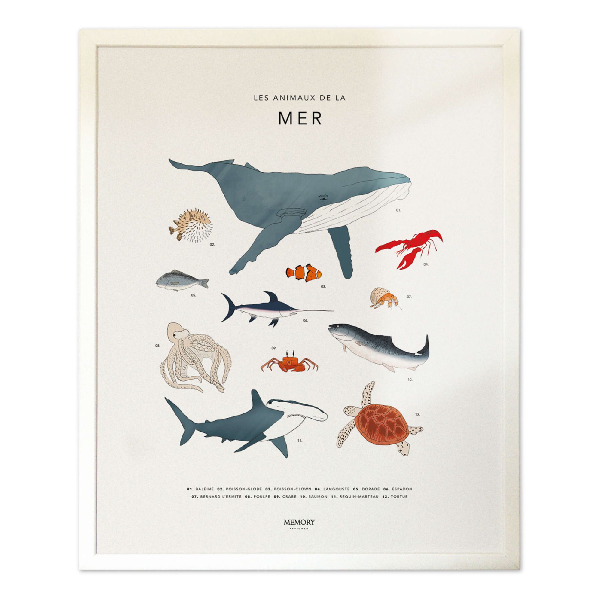 Memory Affiches - Sea Creatures Poster | Smallable