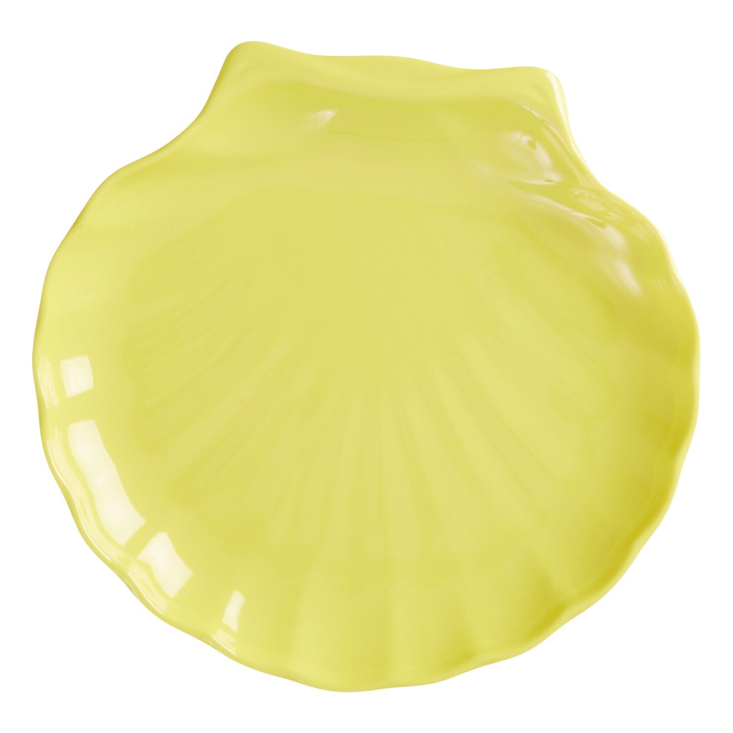 Shell Plate Yellow Rice Design Children, Adult - Smallable