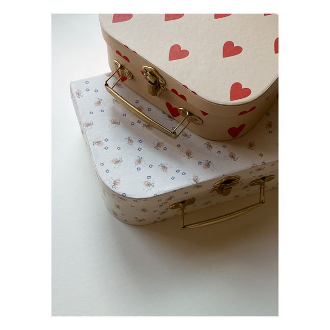 Winter Garden & Amour Small FSC Cardboard Suitcases - Set of 2 Blue ...