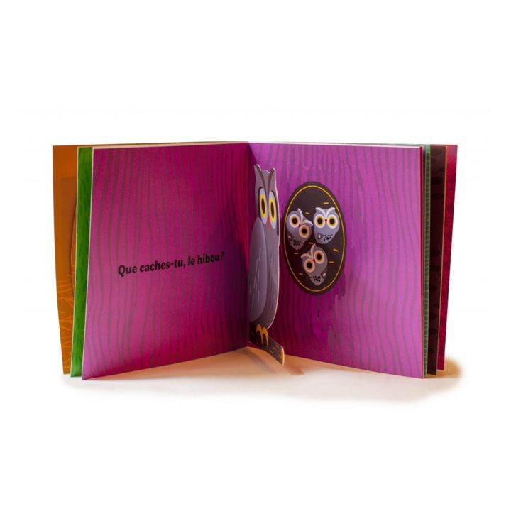 Livre Jument, que caches-tu ? Olivia Cosneau Helium Jouet et Loisir Enfant