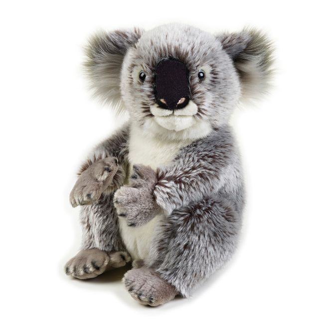 Cuddly Toys: a select range of soft toys & stuffed animals